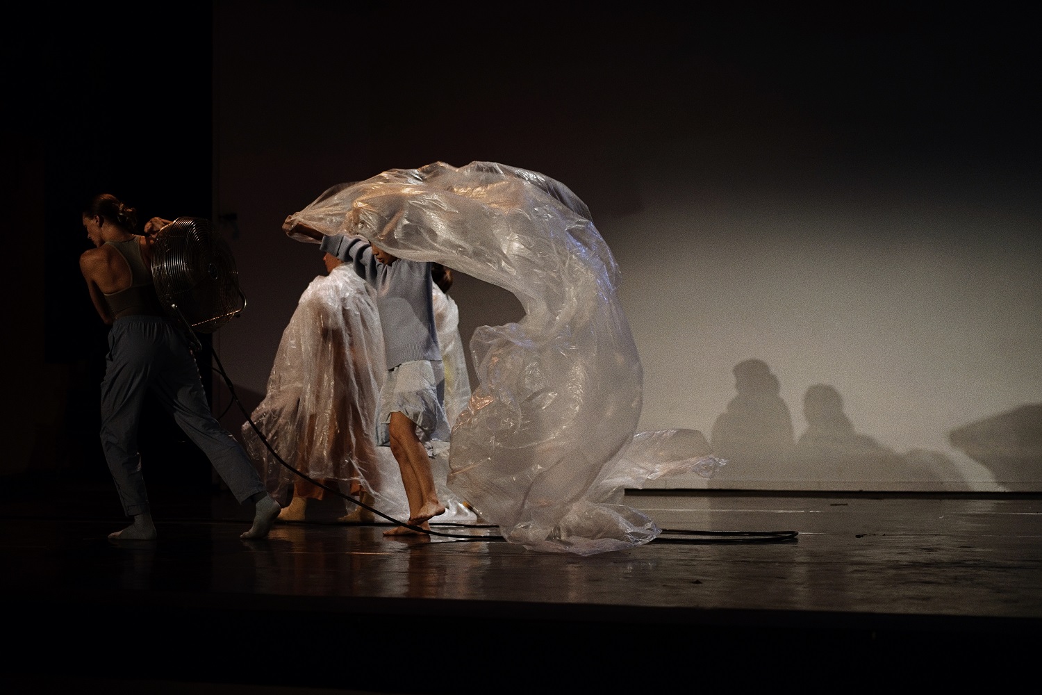 The Assembly’s boundaries practice yields gently shifting outlines | L ...