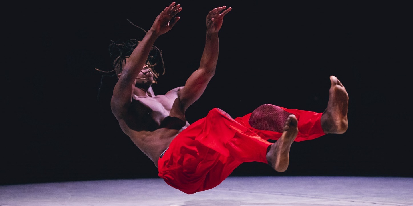 Denna Thomsen and Zak Ryan Schlegel’s Congress VIII Continues the Magic ...