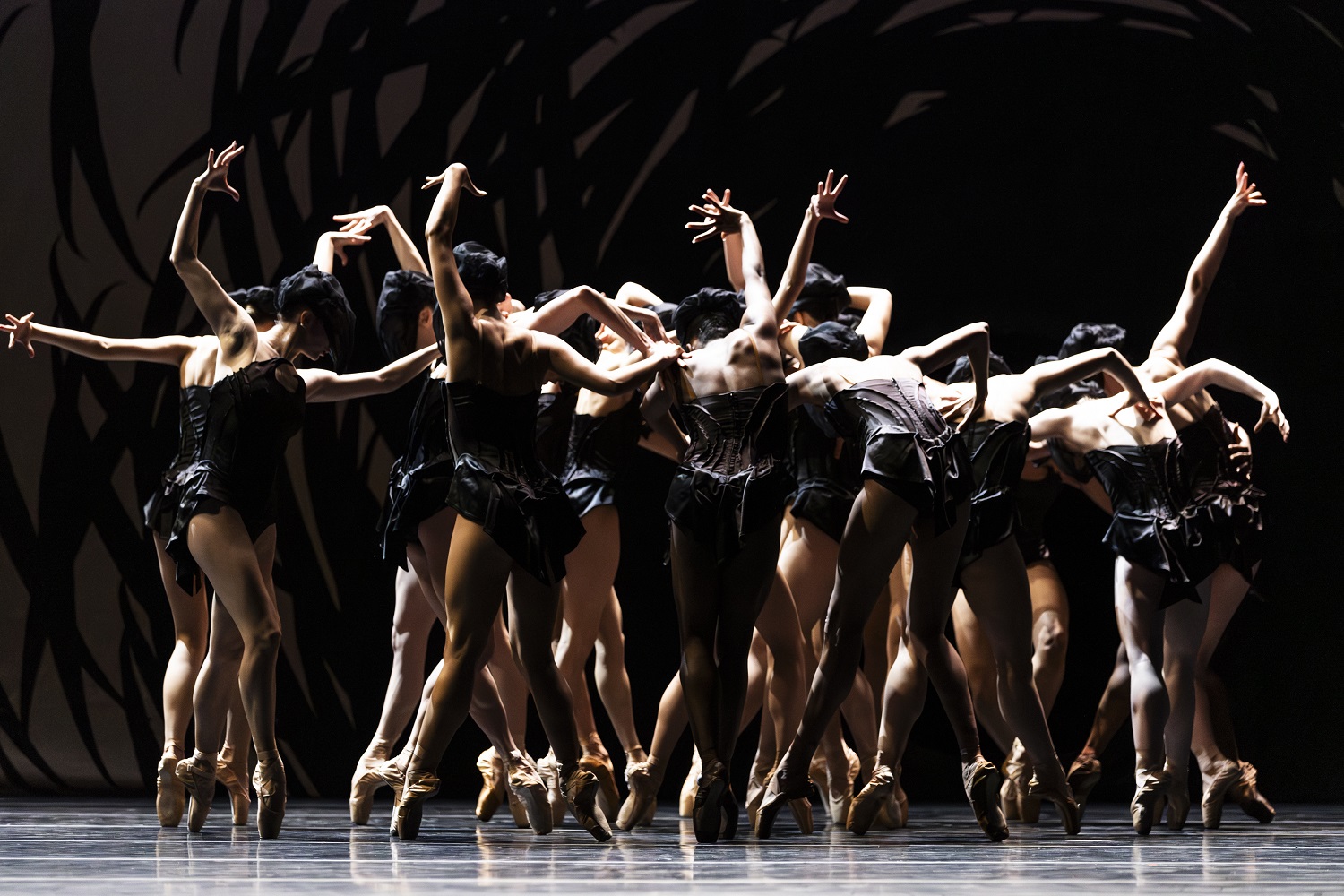 PNB Artists Emerge | L.A. Dance Chronicle